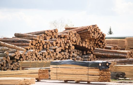 Commodities: o que são, tipos e como funcionam - Rankia